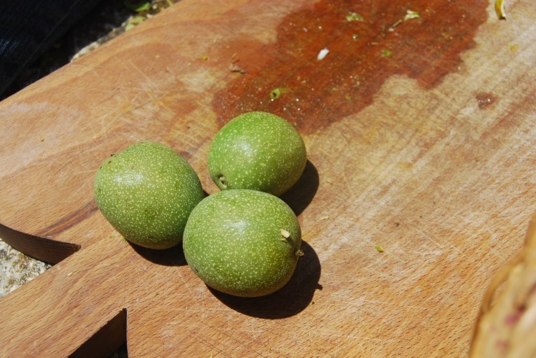 Traditional Italian Homemade Drink: Nocino Walnut Liqueur – Toscana Mia ...