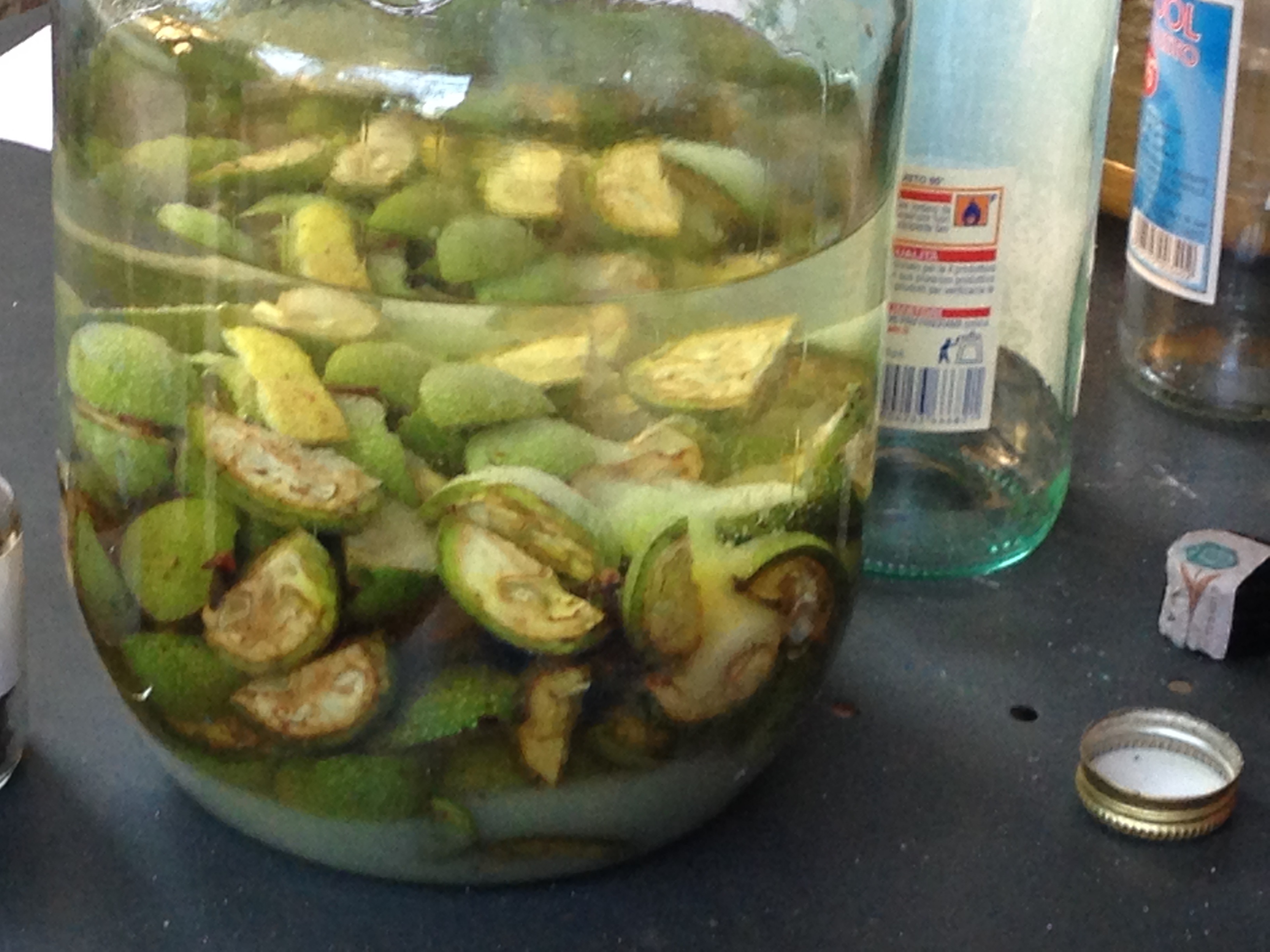 Traditional Italian Homemade Drink: Nocino Walnut Liqueur – Toscana Mia ...