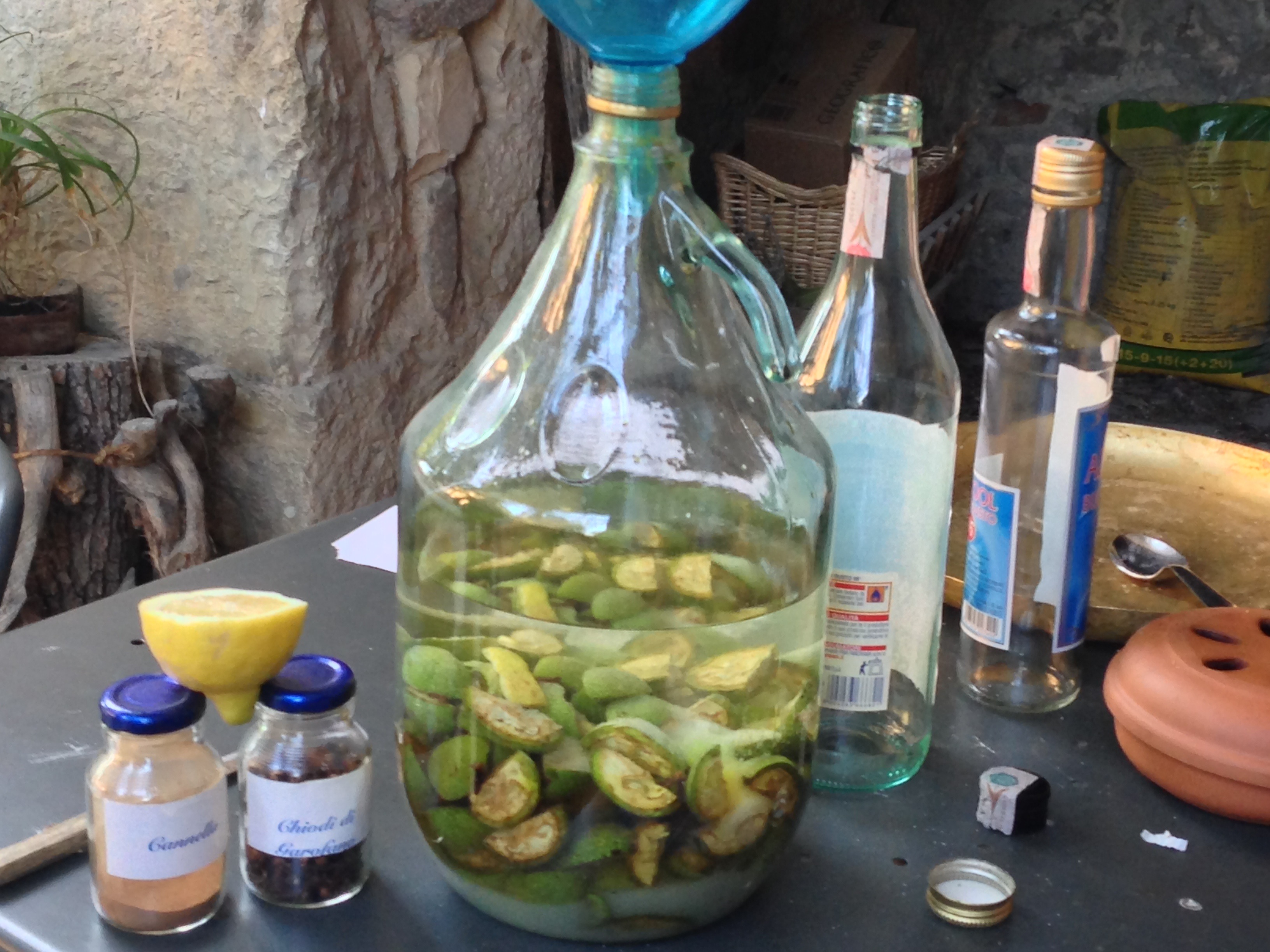 Traditional Italian Homemade Drink: Nocino Walnut Liqueur – Toscana Mia ...