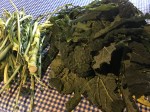 Cavolo Nero/Black Cabbage Pesto – Toscana Mia Blog