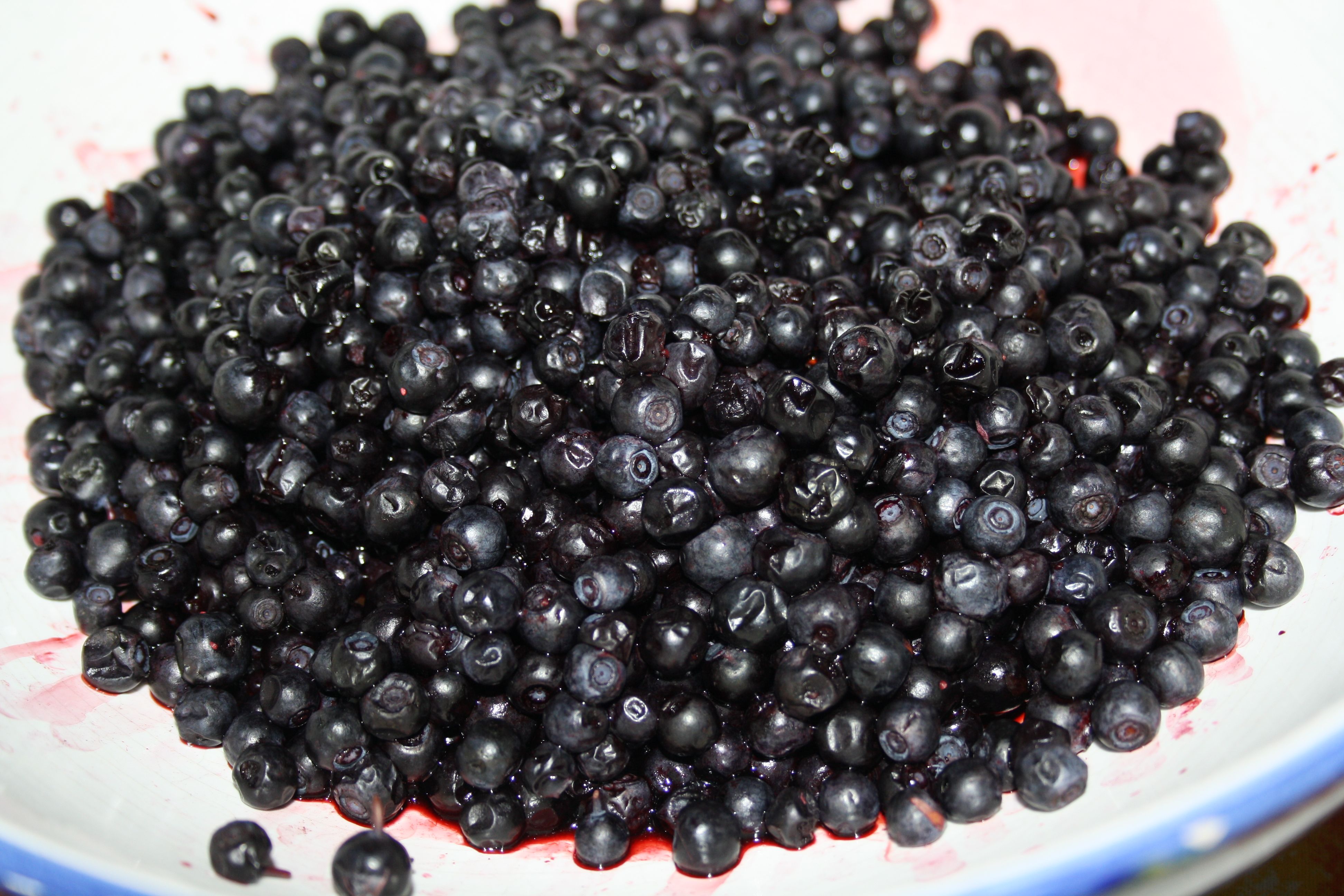 Blueberries gelato/Italian Ice Cream – Toscana Mia Blog