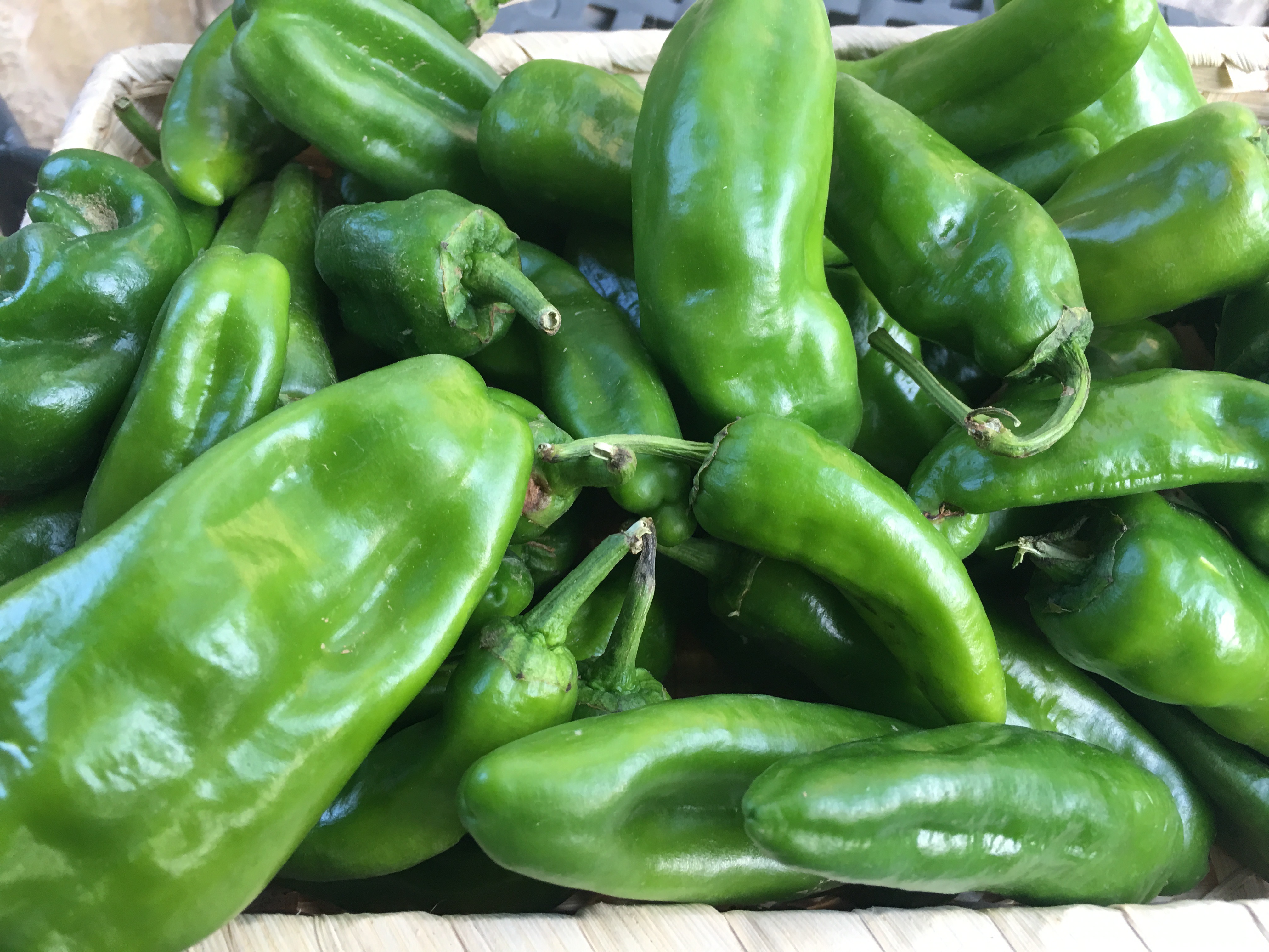 Unexpected Tuscan Vegetables:Friggitelli in Padella – Toscana Mia Blog