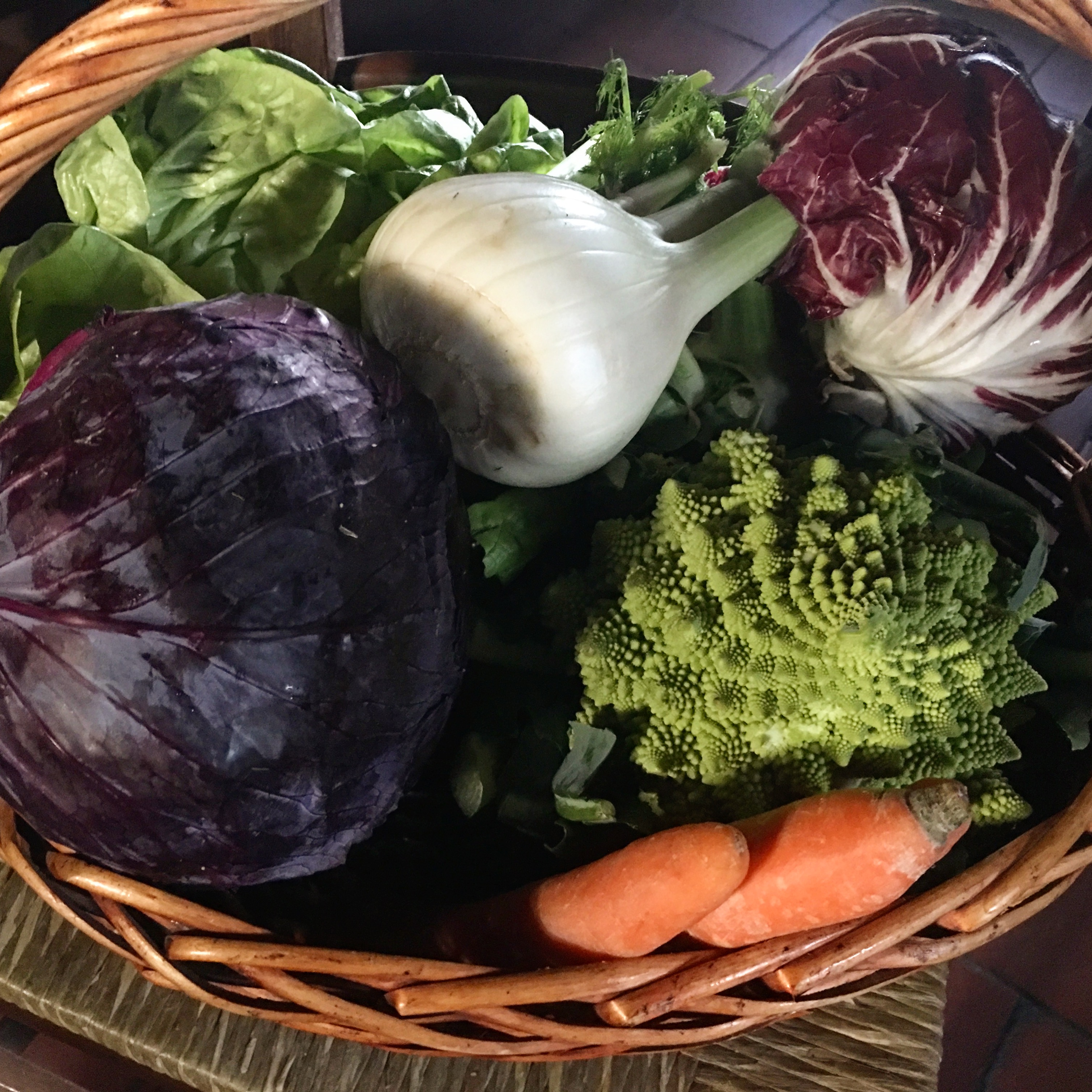 How Do You Eat Fennel/Finocchi? – Toscana Mia Blog