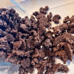 Cocoa Crumble :crunchy chocolate decoration – Toscana Mia Blog